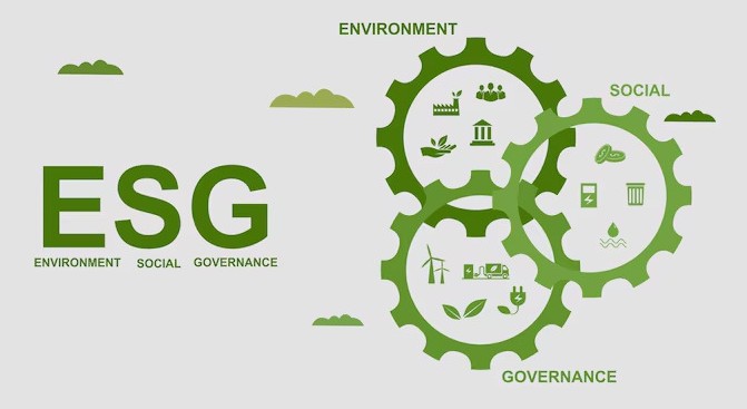 The ESG Advisory